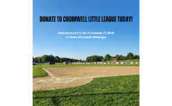 Cromwell Little League Baseball > Home
