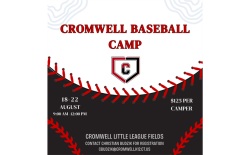 Cromwell Little League Baseball > Home